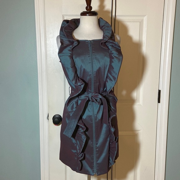 Samuel Dong | Dresses | Like New Samuel Dong Iridescent Ruffle Zip ...